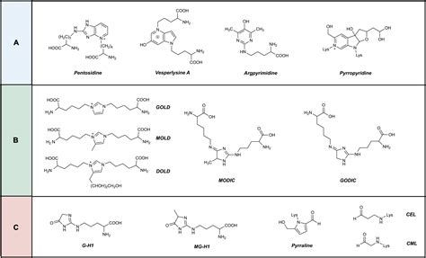 Frontiers Advanced Glycation End Products In The Skin Molecular