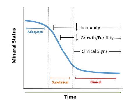Crystalyx Maximizing Bull Fertility And Performance