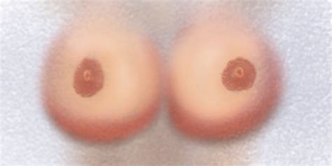 Frosted Glass By Randomaustralian Hentai Foundry