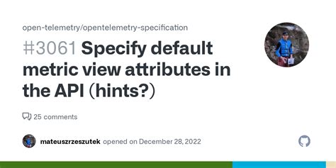 Specify Default Metric View Attributes In The API Hints Issue