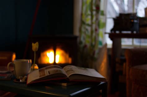 Great Winter Reads Blog Embassy Landscape Group