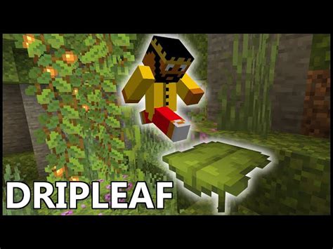 Dripleaf Plant In Minecraft 117 Caves And Cliffs Update All You Need To