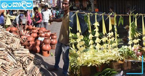 දමිළ ජනයා ‘අස්වැන්න නෙලීමේ උත්සවය සැමරීමට සූදානම් වෙති Lankadeepa Online
