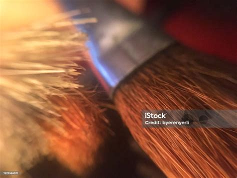 다양한 페인팅 브러쉬 팬 브러쉬 미세 팁 및 넓은 브러시 클로즈업 매크로 가까운에 대한 스톡 사진 및 기타 이미지 가까운 그림 그리기 근거리 초점 Istock