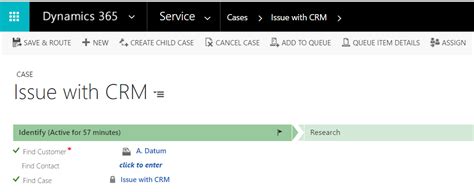 Dynamics Crm Queues Carl De Souza