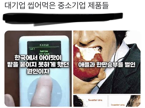 더쿠 요즘 트위터에서 바이럴하는법