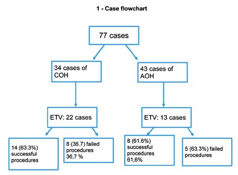 Case Flowchart Of The 77 Patients With Hydrocephalus 34 Had