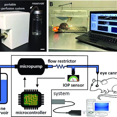 Portable Eye Perfusion System A Image Of The Device Connected To An