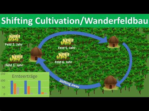 Shifting Cultivation Diagram