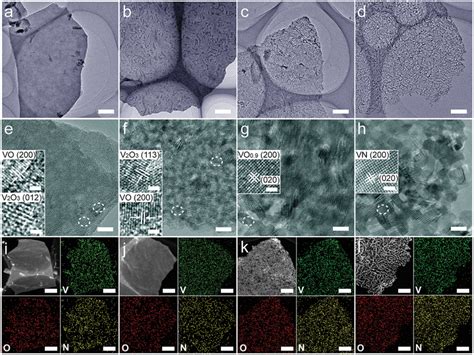 Microstructure Analysis And Element Composition Characterization Of Download Scientific Diagram