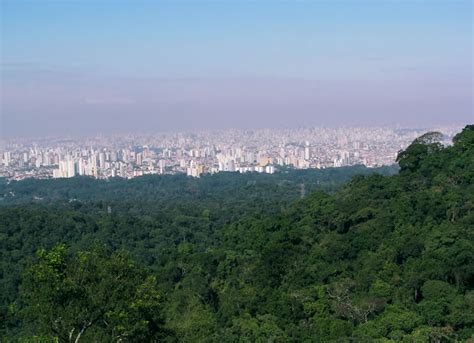 Viver E Morar Na Zona Norte Sp Portal Imóveis Sp