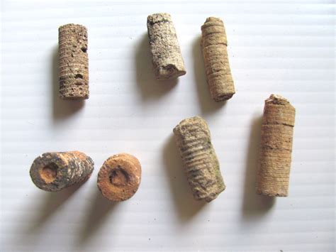 Crinoid Stems Of The Mississippian Period A Member Collections