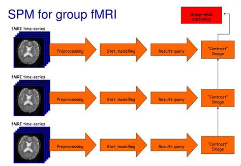 Ppt Fil Spm Course 2010 Voxel Based Morphometry And Dartel Powerpoint
