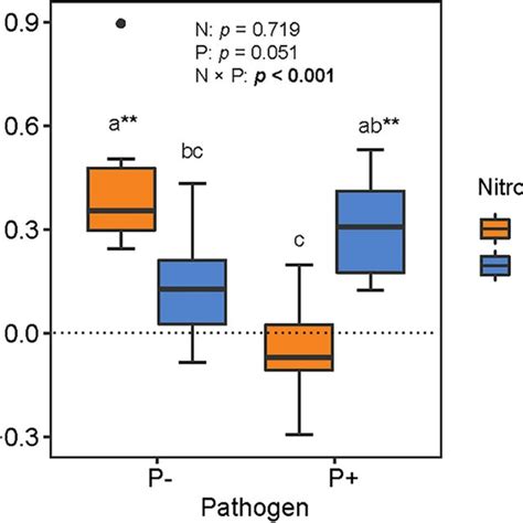 Effects Of The Endophyte Nitrogen Addition Pathogen Infection And