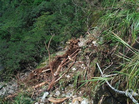 大杉谷登山センター 【パトロール報告】