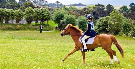 Riding Telegraph