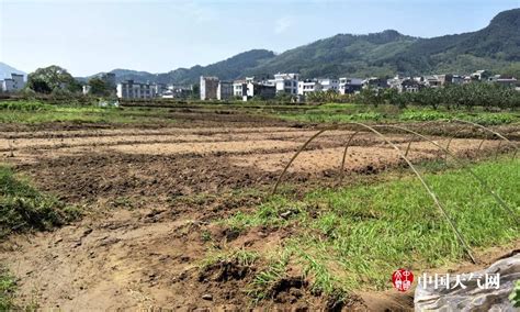 强降雨致使农作物受灾 广西高清图片 中国天气网