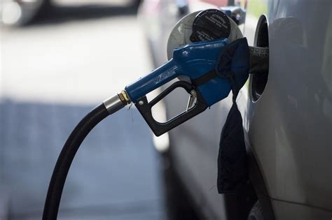Pesquisa da Embrapa identifica microalgas que geram biocombustível