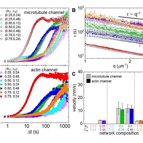 Differential Dynamic Microscopy Shows That Composite Contraction