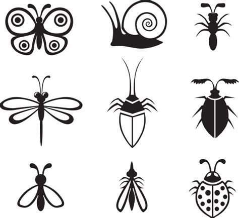 Insect Vector Images Over 240 000