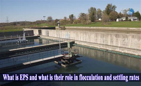 What Is Eps And What Is Their Role In Flocculation And Settling Rates