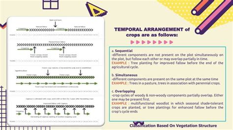 Definitions And Classification Of Agroforestry Systemspptx