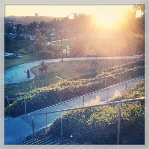 Shadow Oak Park Oak Park Shadow Park