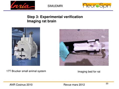 PPT Modeling And Simulation Of Diffusion MRI Signal In Biological Tissue PowerPoint