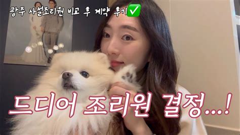 시험관 임신 Vlog 드디어 산후조리원 계약했어요 광주광역시 산후조리원 3군데 비교 후 결정 임신 19주 배 크기 기록👶🏻 11살 노견 스케일링 후기