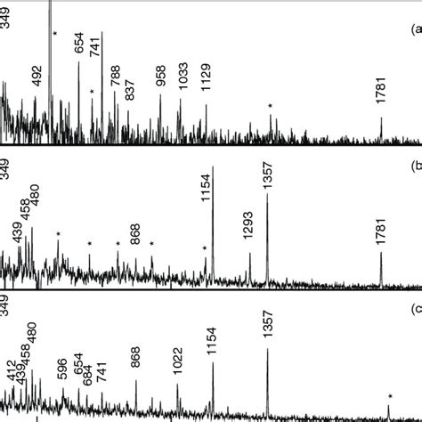 Shell Model Calculations Compared With Experimental Levels Download