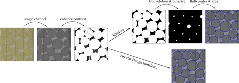 Detect And Follow Particles PhotoElasticity