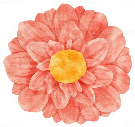 Pink Flower Watercolor Painted For Decorative Element 9786864 Png