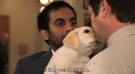 Mustache Kisses Album On Imgur