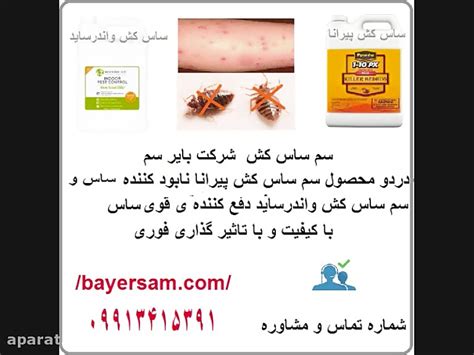 سم بسیار قدرتمند ساس کشسم ضد ساس بایر