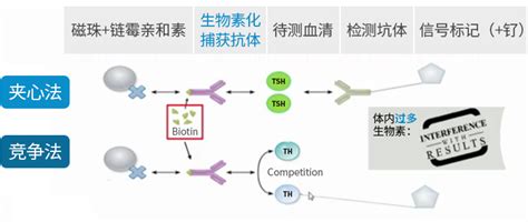 Biotin Ivdmat
