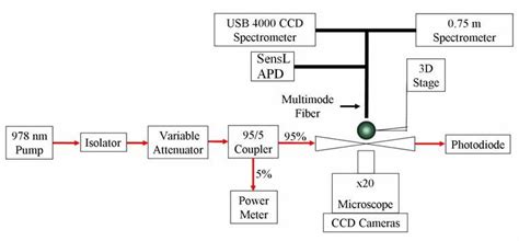Schematic Of Experimental Setup Download Scientific Diagram