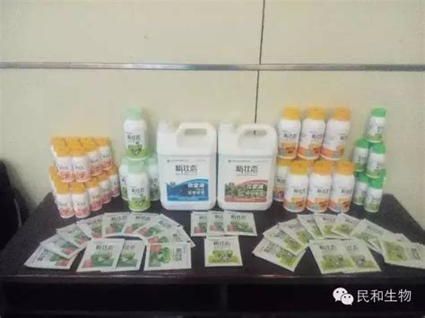 民和“新壮态”棉花示范项目验收及现场观摩会（曲周站）