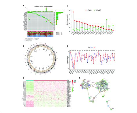 Genetic And Transcriptional Alterations Of Rna Modification Writers