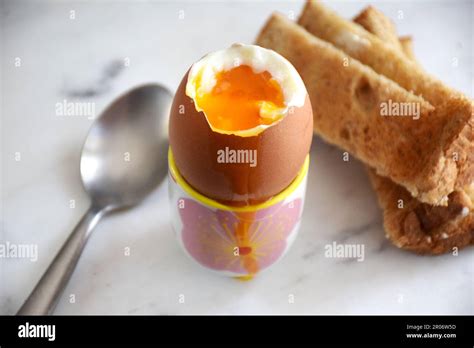 Egg Soft Boiled Egg Egg Cup Breakfast Keto Diet Healthy Protein