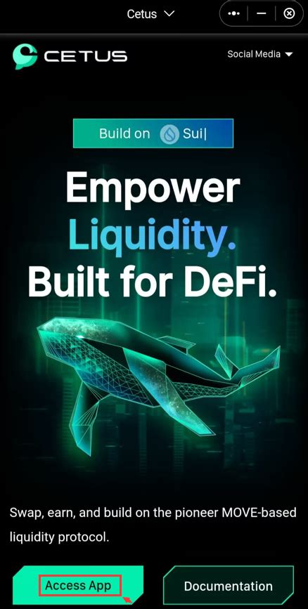 How To Connect The Safepal Software Wallet To Cetus Safepal Help Center