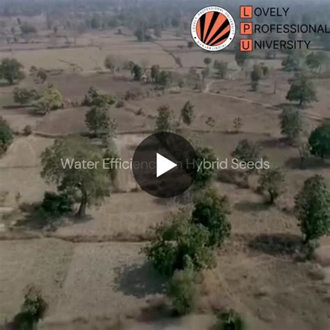 How Hybrid Seeds Help Agriculture With Water Efficiency Nandani Bhati Posted On The Topic