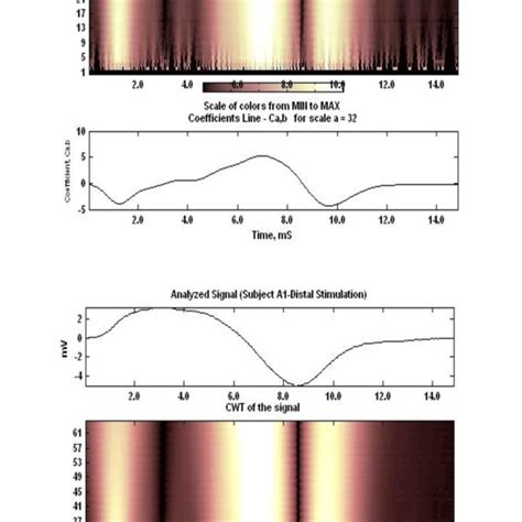 cwt with coefficient line variations of cmap signals from a normal