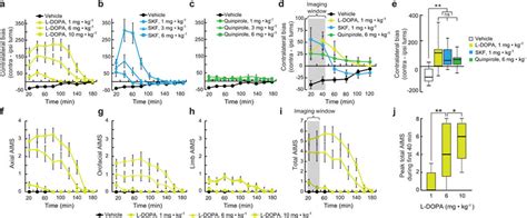 After Unilateral Lesion Of Snc Dopamine Cells L Dopa And Dopamine