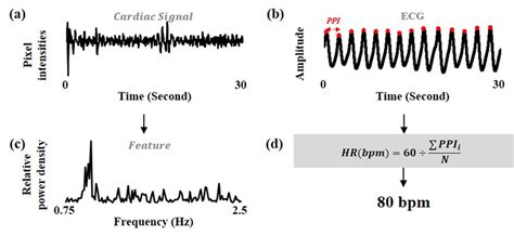 Overview Of Feature Extraction A Cardiac Signal Estimated From Download Scientific Diagram