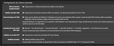 Dns Resolver Does Not Resolve In My Clients Netgate Forum