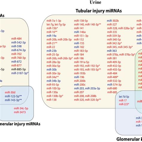 Expression Of Serum Urine And Urinary Mirnas At Different Sites Of