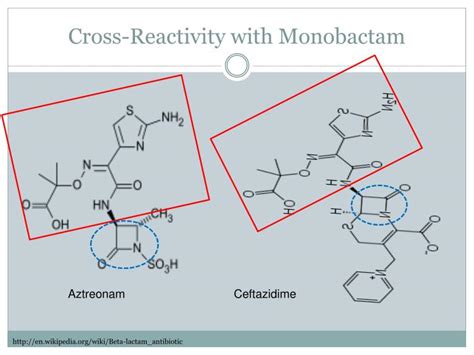 Ppt Allergic Cross Reactivity Among Lactam Antibiotics In Patients With Penicillin Allergies
