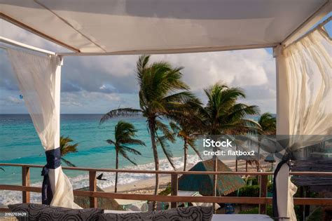 키 큰 야자수와 해안에 부딪히는 잔잔한 파도가 있는 경치 좋은 해변 전망 0명에 대한 스톡 사진 및 기타 이미지 0명 경관 고요한 장면 Istock