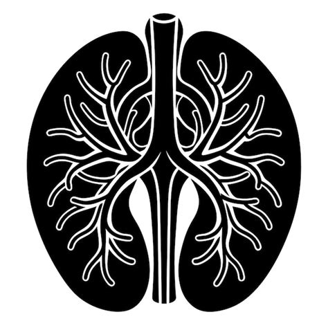 Menselijke Nier Zwarte Silhouet Vector Illustratie Interne Anatomie Van