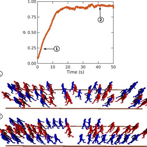 Lane Formation Phenomena In Bidirectional Flows In A Corridor Top